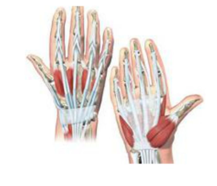 Dott. Marco Boschetti - Guidaestetica.it