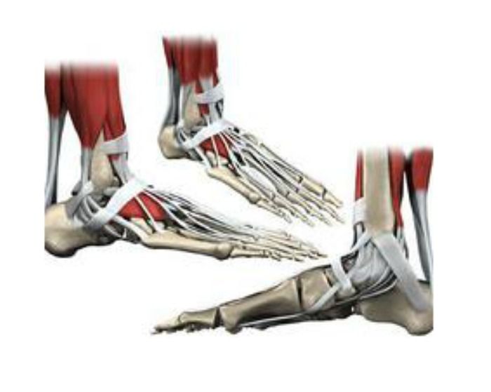 Dott. Marco Boschetti - Guidaestetica.it